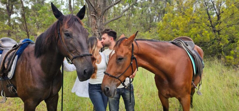 Sydney: Guided 2-Hour Horseback Picnic Tour - Key Points