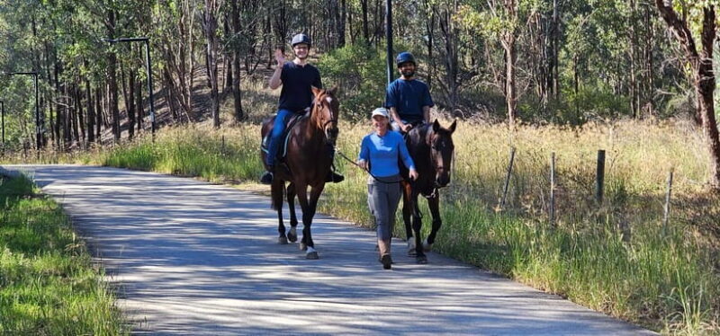 Sydney: Guided 2-Hour Horseback Picnic Tour - Final Thoughts