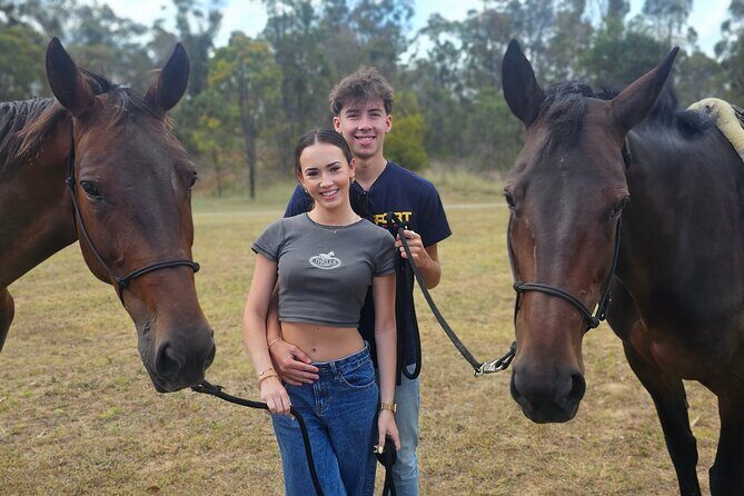 Sydney Guided Horse Ride Picnic - An In-Depth Look at the Sydney Guided Horse Ride Picnic