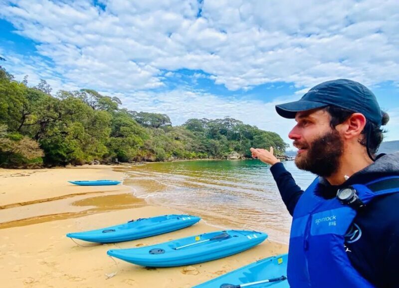 Sydney: Guided Kayak Tour of Manly Cove Beaches - The Practical Side: Pricing, Duration, and What to Bring