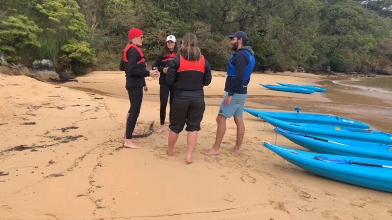 Sydney: Guided Kayak Tour of Manly Cove Beaches - FAQ