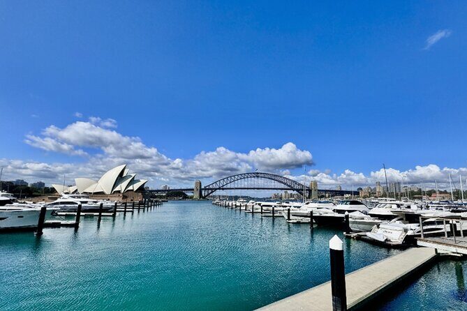 Sydney Half Day City Tour - Logistics and Comfort