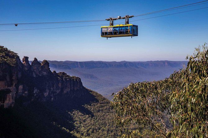 Sydney Half Day Highlights - Luxury Private Tour | Morning or Afternoon Avail - Final Thoughts: Who Is This Tour Best For?