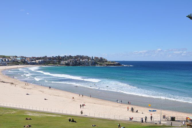 Sydney Half Day Private Tour - An In-Depth Look at the Itinerary