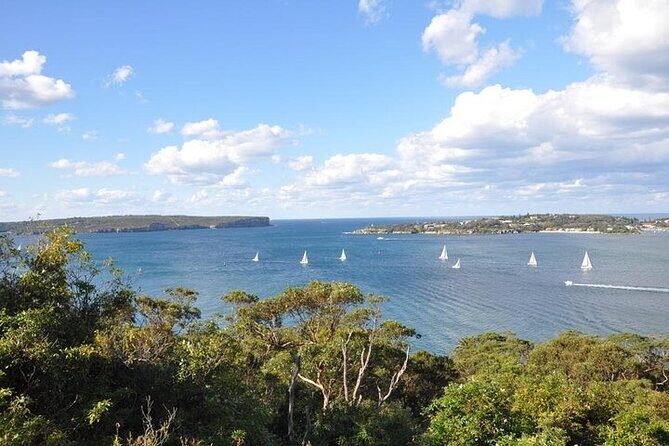 Sydney Half Day Private Tour - FAQ