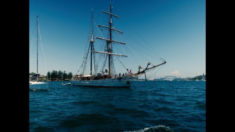 Sydney: Harbor Sunset Cruise with Dinner - Who Is This Tour Best For?