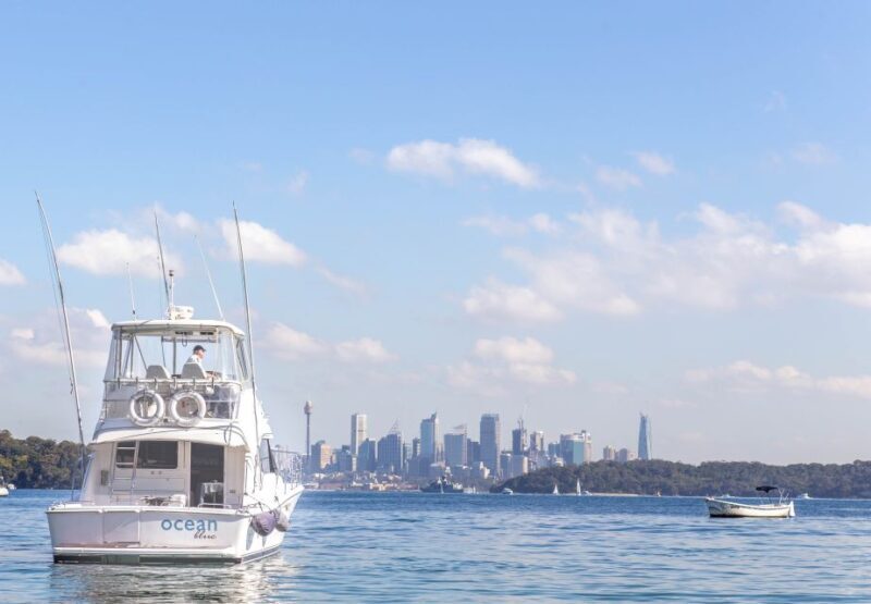 Sydney Harbour: Luxury Multi-Stop Lunch Cruise - The Cruise: From Landmarks to Hidden Corners