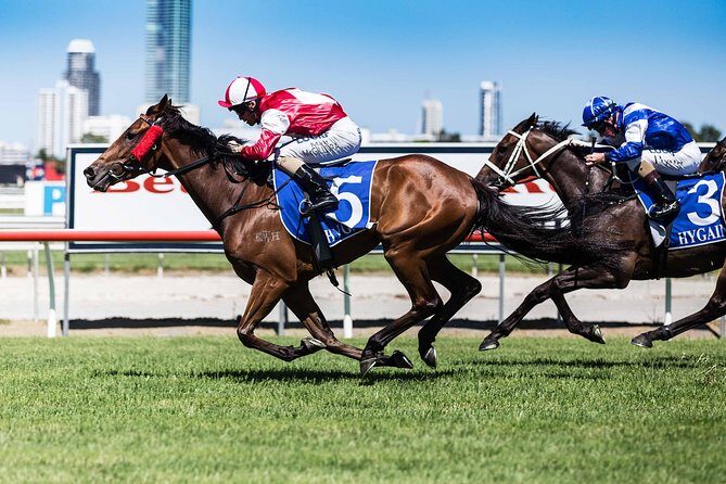 Sydney Harbour Melbourne Cup Cruise - An In-Depth Look at the Sydney Harbour Melbourne Cup Cruise