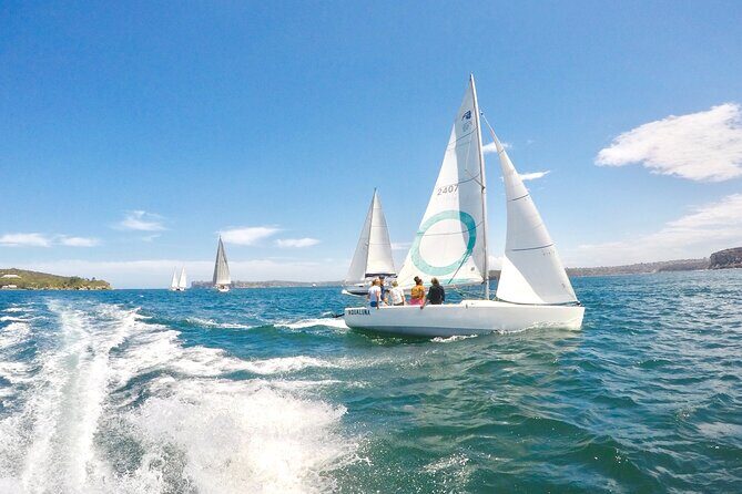 Sydney Harbour - Sailing Hands-On Experience - Final Thoughts: Is It Worth It?
