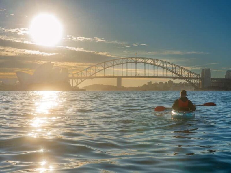 Sydney: Harbour Sunrise Kayak Tour - A Closer Look at the Harbour Sunrise Kayak Tour