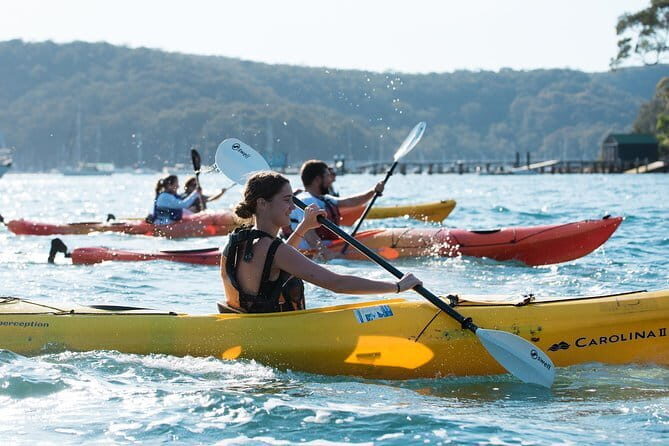 Sydney Harbour Sunset Dinner Paddle - Pricing and Value