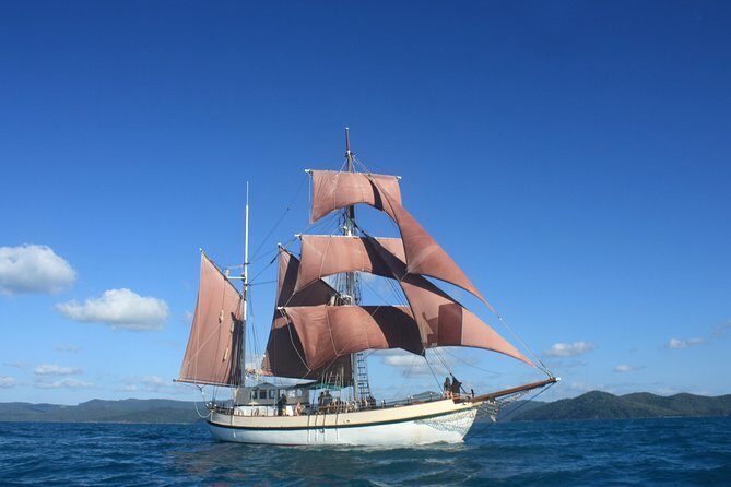 Sydney Harbour Tall Ship Whale & Sail - Whale Watching Cruise - What Sets This Cruise Apart