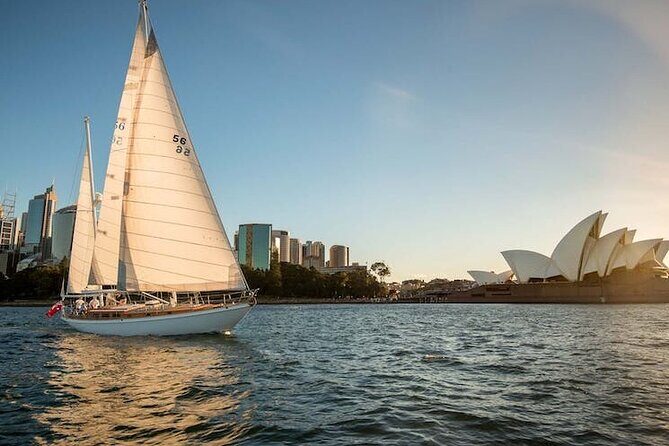 Sydney Harbour Tall Ship Whale & Sail - Whale Watching Cruise - What to Expect on the Day
