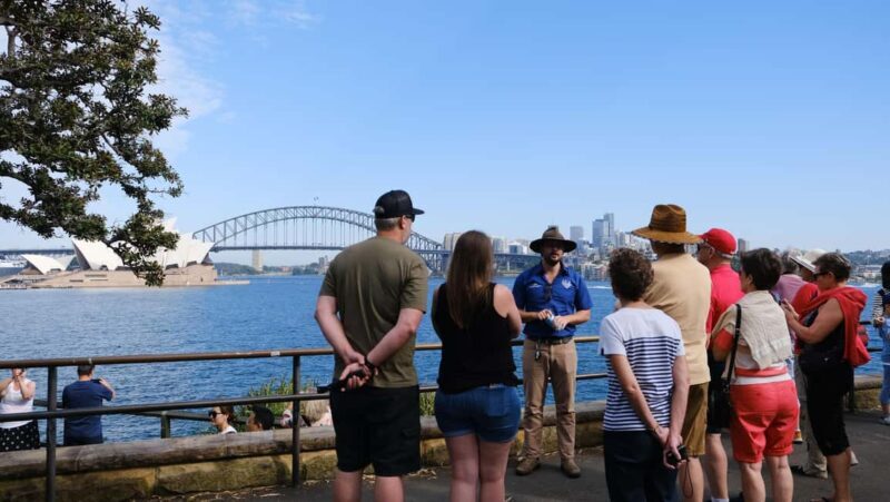 Sydney Harbour to Bondi: Small Group HalfDay Experience - Final Thoughts