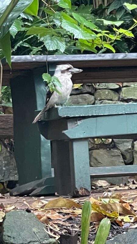 Sydney: Harbour Views & Hidden Histories Walking Tour - Walking Across the Harbour Bridge and Beyond