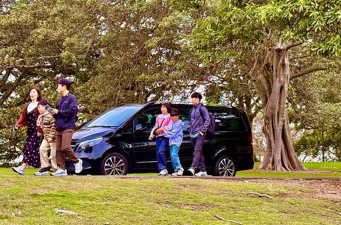 Sydney Harbour Whale Watching Experience - The Sum Up