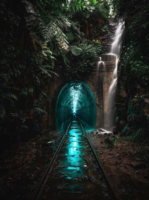 Sydney: Helensburgh Glow Worm Tunnel Tour with Transfer - Key Points
