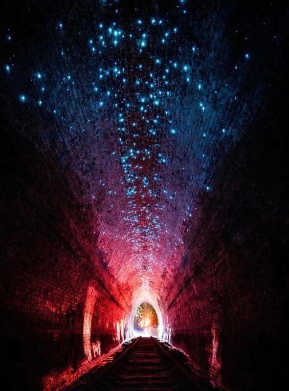 Sydney: Helensburgh Glow Worm Tunnel Tour with Transfer - How It Compares to Similar Experiences
