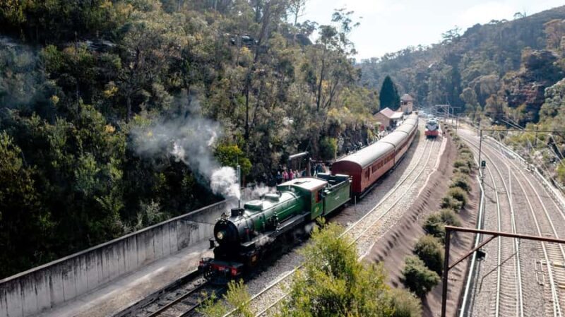 Sydney: Heritage Zig Zag Steam Train and Blue Mountains Tour - Who This Tour Is Best For