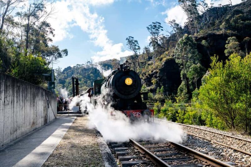 Sydney: Heritage Zig Zag Steam Train and Blue Mountains Tour - Final Thoughts