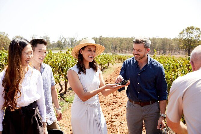 Sydney Hunter Valley Private Wine Tour with Tastings and Lunch - Itinerary Breakdown: Each Stop in Detail