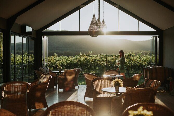 Sydney Hunter Valley Private Wine Tour with Tastings and Lunch - Who Is This Tour Best For?