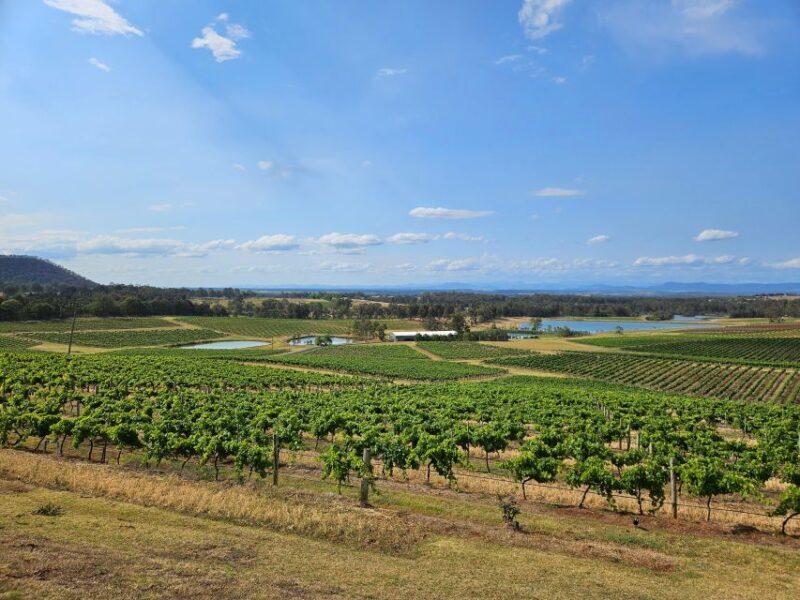 Sydney Hunter Valley Tour - What You Can Expect on the Hunter Valley Tour