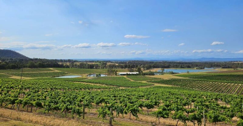 Sydney Hunter Valley Tour - The Guide and Group Size