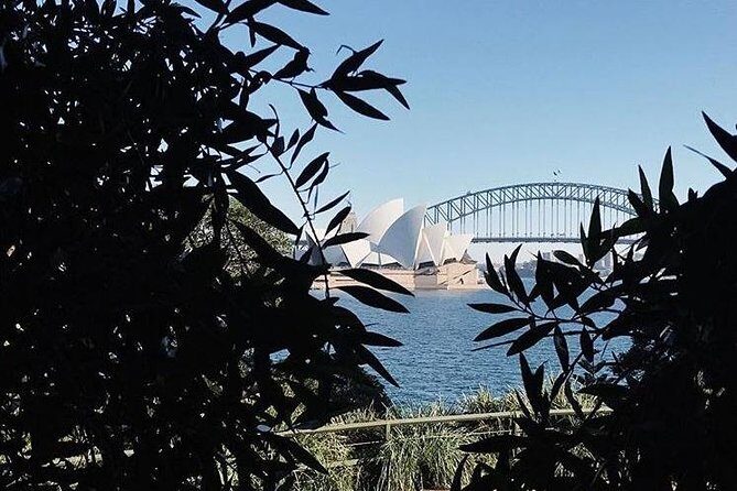 Sydney Icons & Bondi Half Day Private Tour - Introduction — Why This Tour Might Be Just What You Need