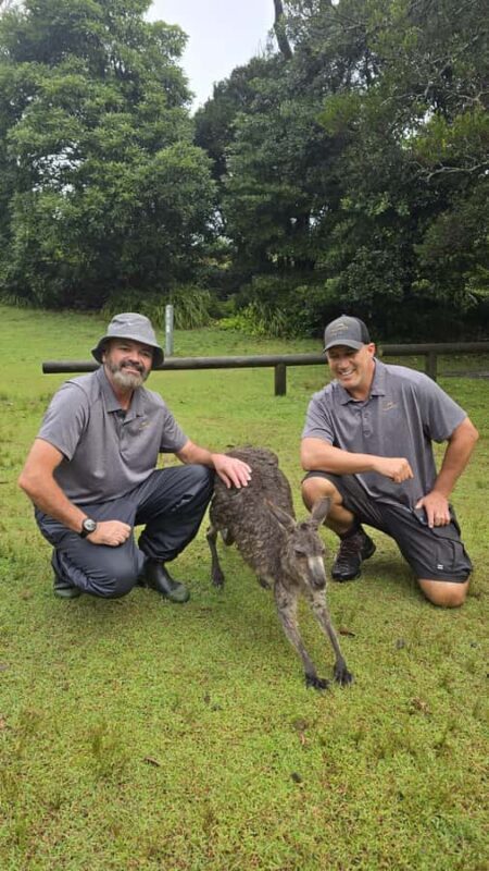 Sydney: Jervis Bay Day Trip with Dolphins, Roos & Beach Time - Why This Tour Delivers Great Value