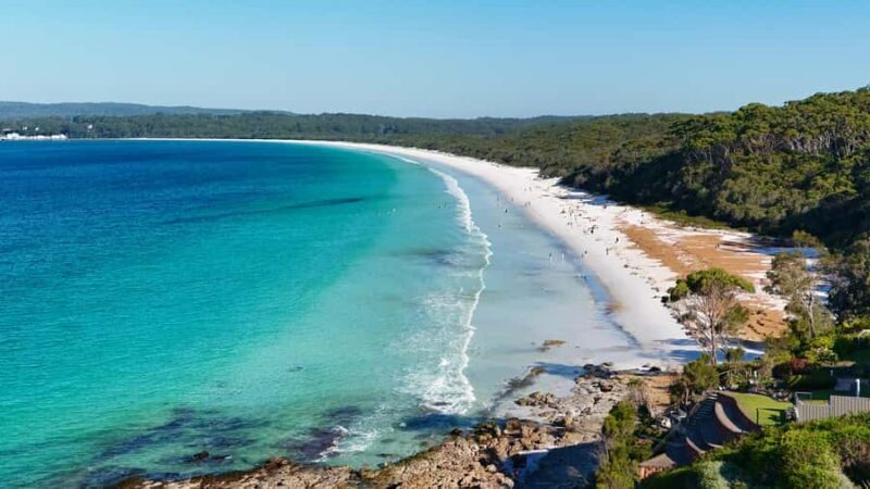 Sydney: Jervis Bay & South Coast Small Group Wild Kangaroos - An In-Depth Look at the Tour Experience