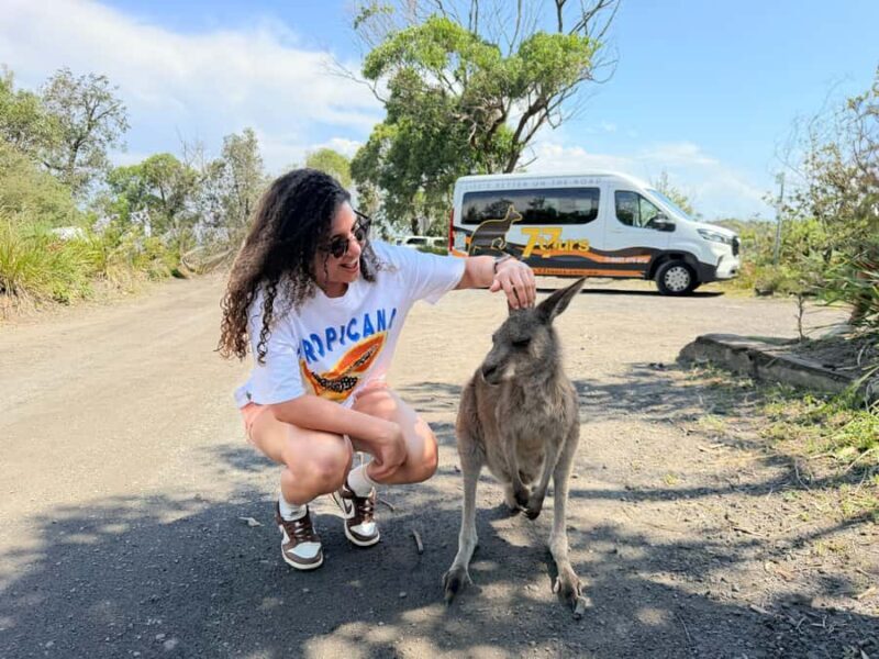 Sydney: Jervis Bay & South Coast Small Group Wild Kangaroos - Authenticity and Real Travelers’ Perspectives