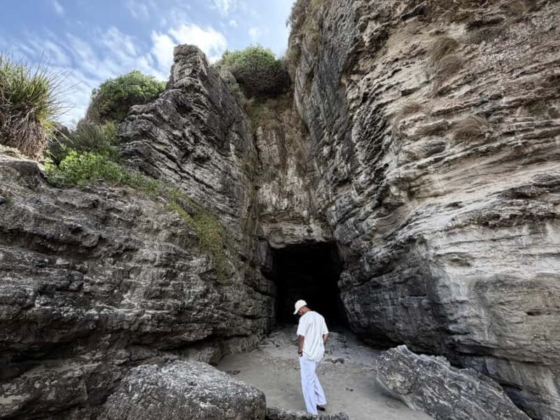 Sydney: Jervis Bay & South Coast Small Group Wild Kangaroos - Who Will Love This Tour?