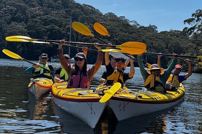 Sydney Kayak Seal Encounter Adventure with Gourmet Food - The Bottom Line