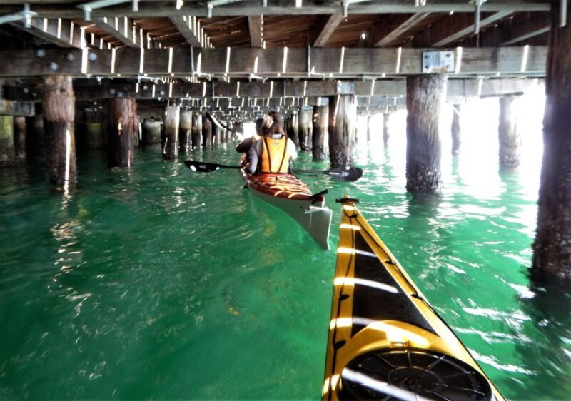 Sydney: Kayak to Goat Island At The Heart of Sydney Harbour - Practical Details & Considerations