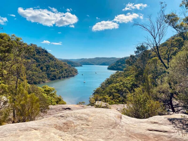 Sydney: Ku-ring-gai National Park with swim and picnic - Key Points