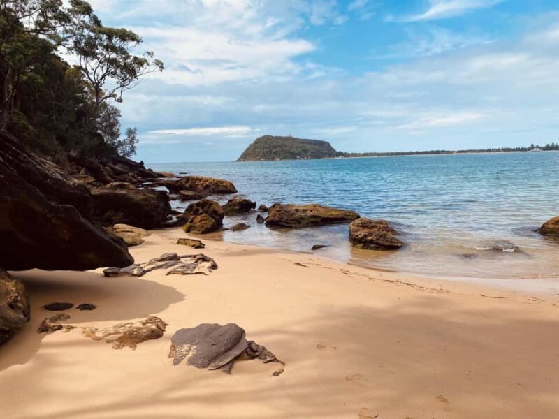 Sydney: Ku-ring-gai National Park with swim and picnic - FAQ
