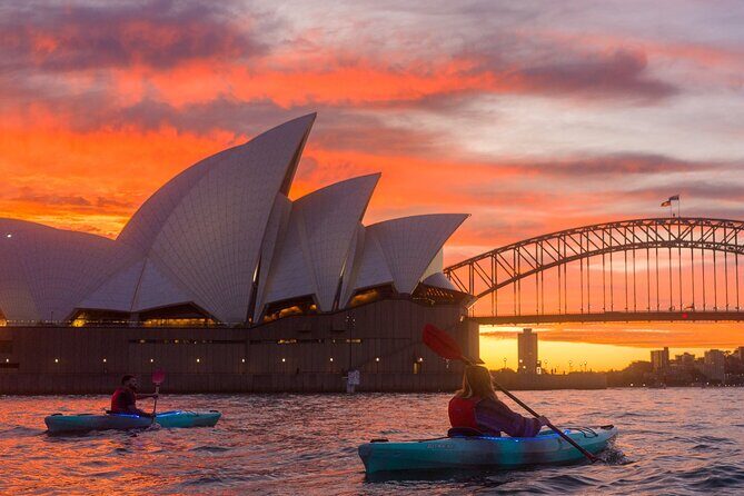 Sydney LED Lit Kayak Tour of the Opera House and Bridge - Who Will Love This Experience?