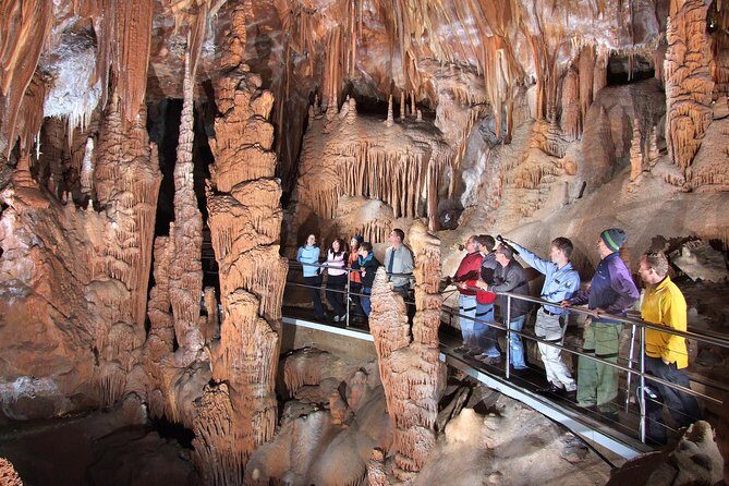 Sydney Like a Local: Customized Private Tour - Key Points