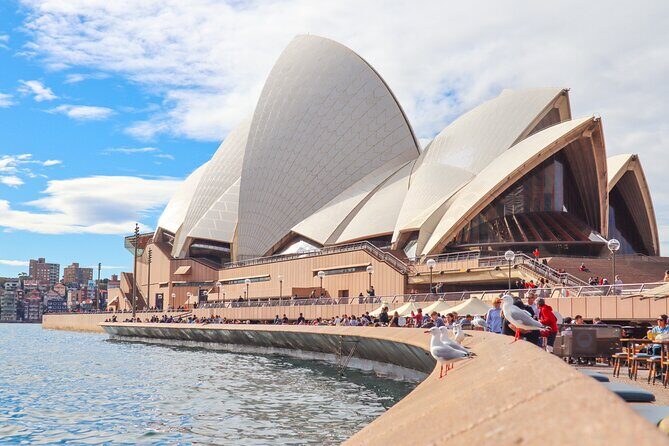 Sydney Like a Local: Customized Private Tour - The Sum Up: Who Is This Tour Best For?