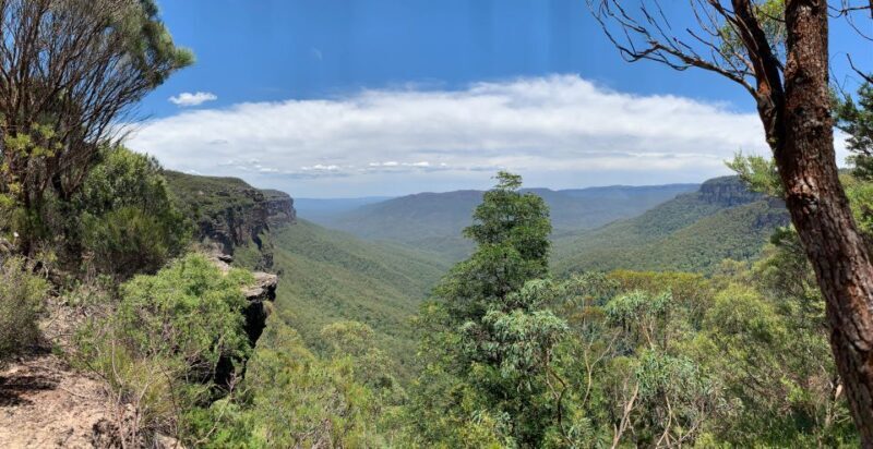 Sydney: Luxury Blue Mountains Adventure with Wentworth Falls - The Itinerary: A Day Unfolded