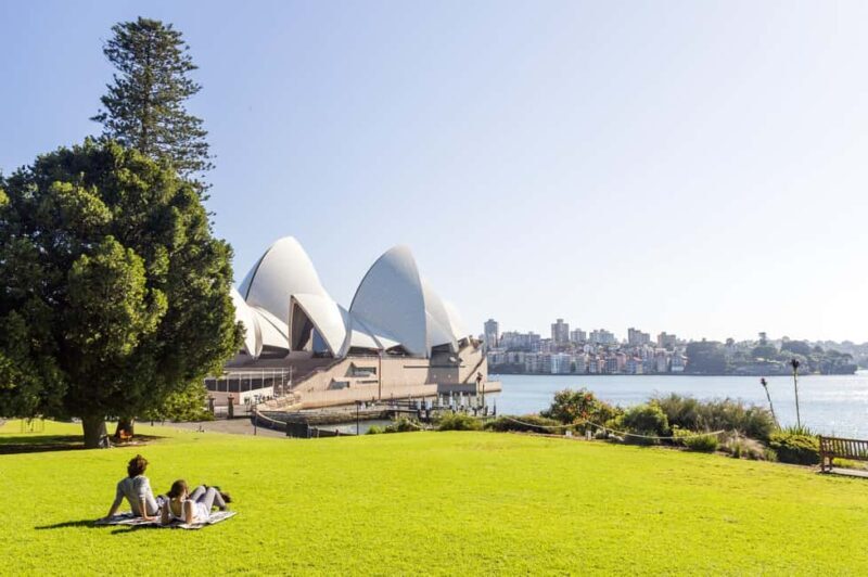 Sydney: Luxury Picnic with Native Food & Wine - The Guided Tour: Indigenous Ingredients and Culture