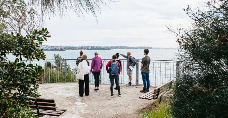 Sydney: Manly and Shelly Beach Snorkeling Tour - Who Should Consider This Tour?