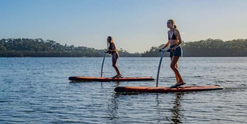 Sydney: Narrabeen Lagoon Sunrise SUP and Breakfast - Key Points