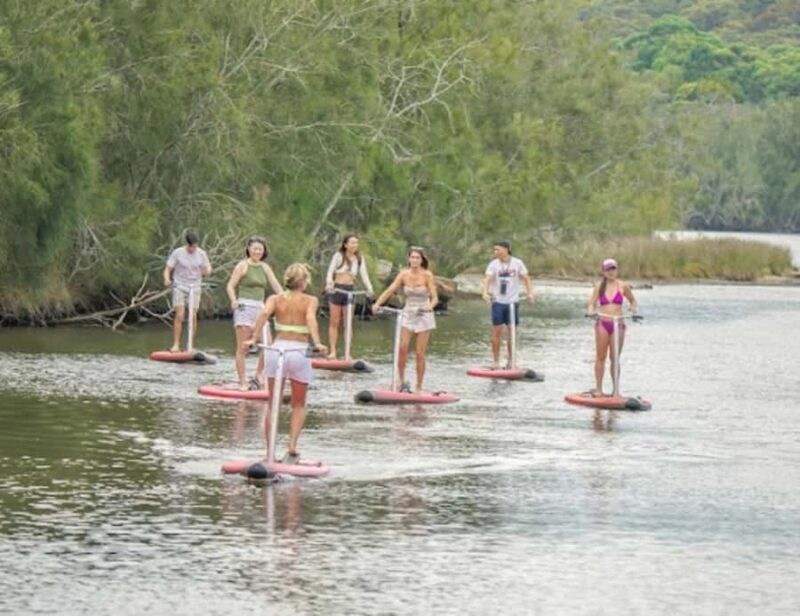Sydney: Narrabeen Lagoon SUP Tour with Instructor - Value and Practical Considerations