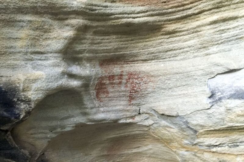 Sydney: Northern Beaches and Ku-ring-gai National Park Tour - The Sum Up