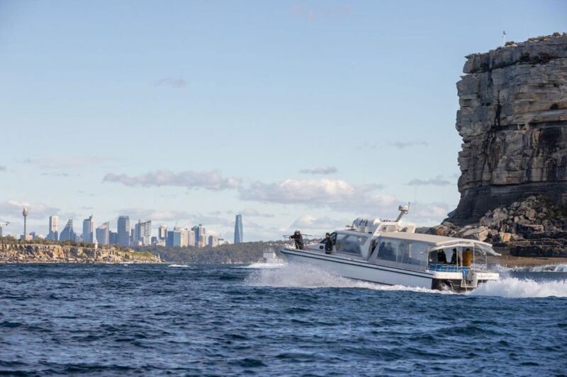 Sydney: Ocean Whale Watching Experience - A Final Note