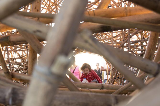 Sydney One Day Tour with a Local: 100% Personalized & Private - The Sum Up