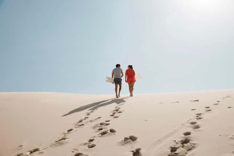 Sydney: Port Stephens Dolphin Watching & Sand Dunes Day Tour - An Overall Look at the Tour Experience
