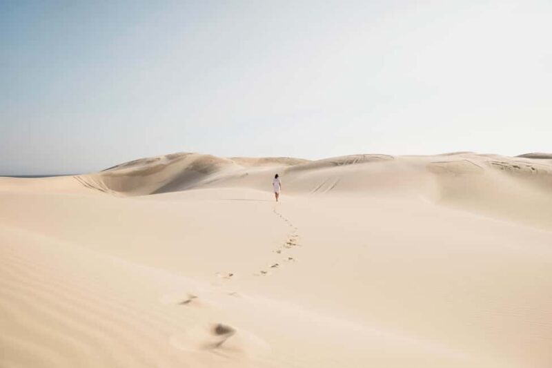 Sydney: Port Stephens Dolphin Watching & Sand Dunes Day Tour - Potential Drawbacks and Considerations